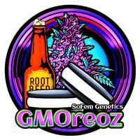 SOFEM Genetics - Cannabis Seeds